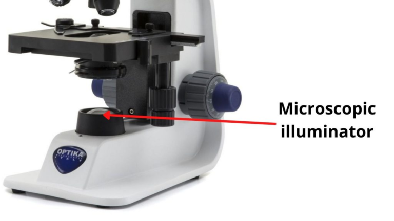 Parts Of A Microscope And Their Functions - Biology Notes Online