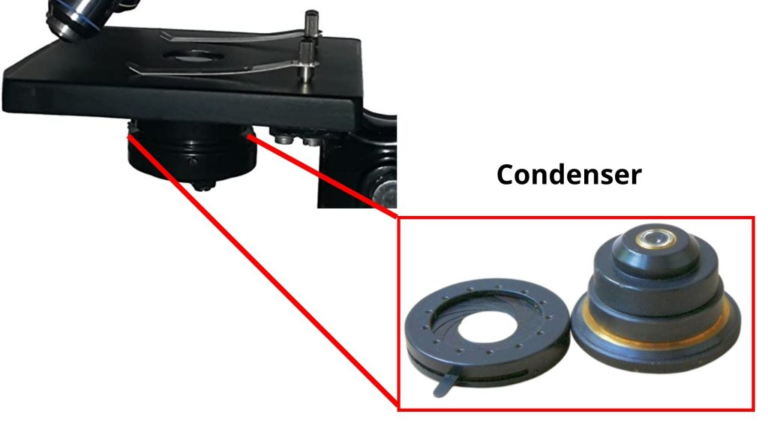 Parts of a Microscope and Their Functions - Biology Notes Online