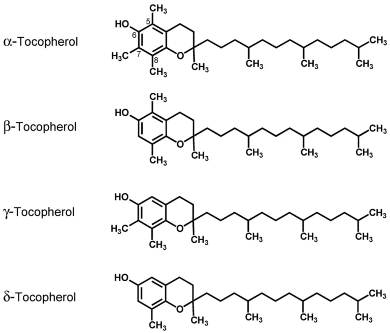 Vitamin E - Structure, Functions, Synthesis, Deficiency - Biology Notes ...