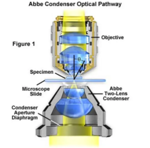 Microscope Condenser - Types, Parts, Mechanism, Uses - Biology Notes Online