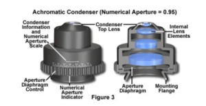 Microscope Condenser - Types, Parts, Mechanism, Uses - Biology Notes Online