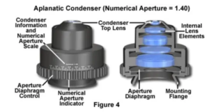 Microscope Condenser - Types, Parts, Mechanism, Uses - Biology Notes Online