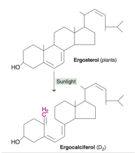 Vitamin D - Structure, Functions, Synthesis, Mechanism, Deficiency ...