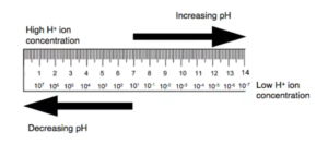 PH Meter - Principle, Parts, Types, Procedure, Calibration, Application ...