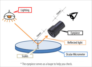 Ocular Micrometer - Definition, Principle, Parts, Applications ...