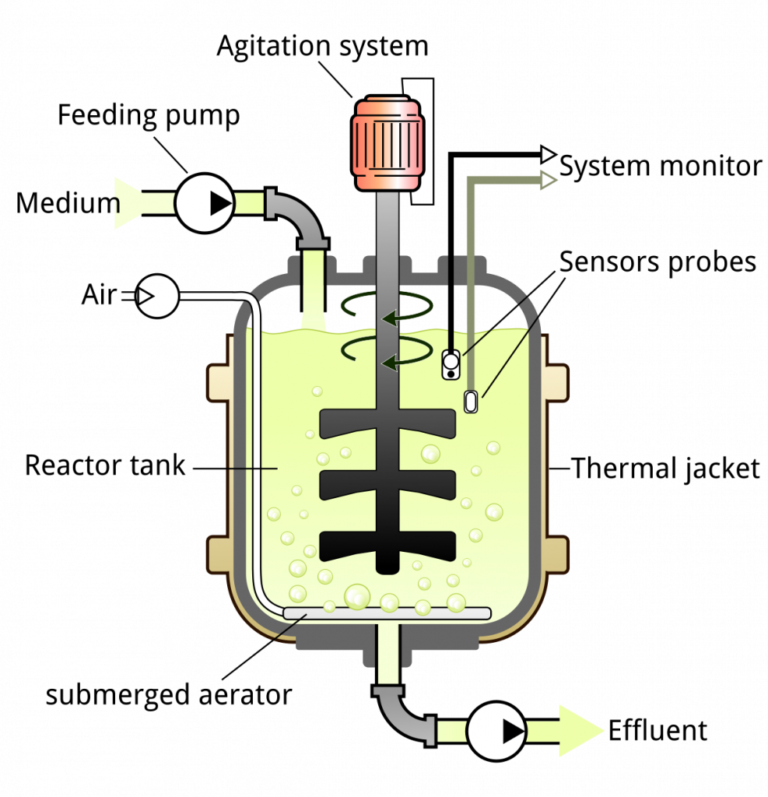 Bioreactor - Types, Design, Parts, Applications, Limitations - Biology ...