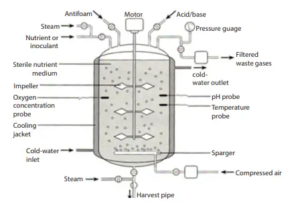 Bioreactor - Types, Design, Parts, Applications, Limitations - Biology ...