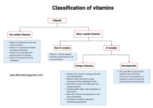 Vitamins - Classification, Source, Importance, Example - Biology Notes ...