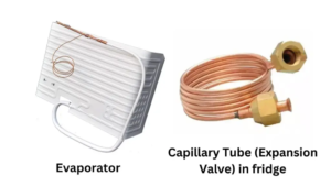 Laboratory Refrigerators and Freezers - Principle, Parts, Applications ...