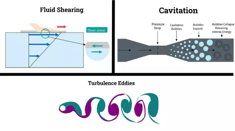 Homogenizer - Principle, Parts, Types, Procedure, Uses - Biology Notes ...
