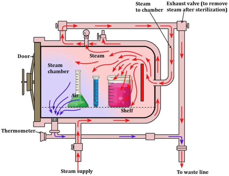 Autoclave - Definition, Principle, Parts, Operating Procedure, Uses ...