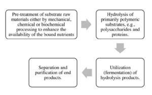 Solid State Fermentation (SSF) - Definition, Steps, Bioreactor ...
