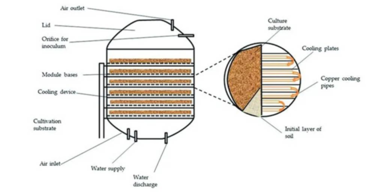 Solid State Fermentation (SSF) - Definition, Steps, Bioreactor ...