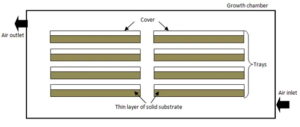 Solid State Fermentation (SSF) - Definition, Steps, Bioreactor ...