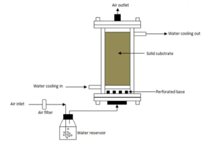 Solid State Fermentation (SSF) - Definition, Steps, Bioreactor ...