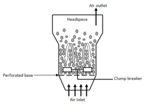 Solid State Fermentation (SSF) - Definition, Steps, Bioreactor ...