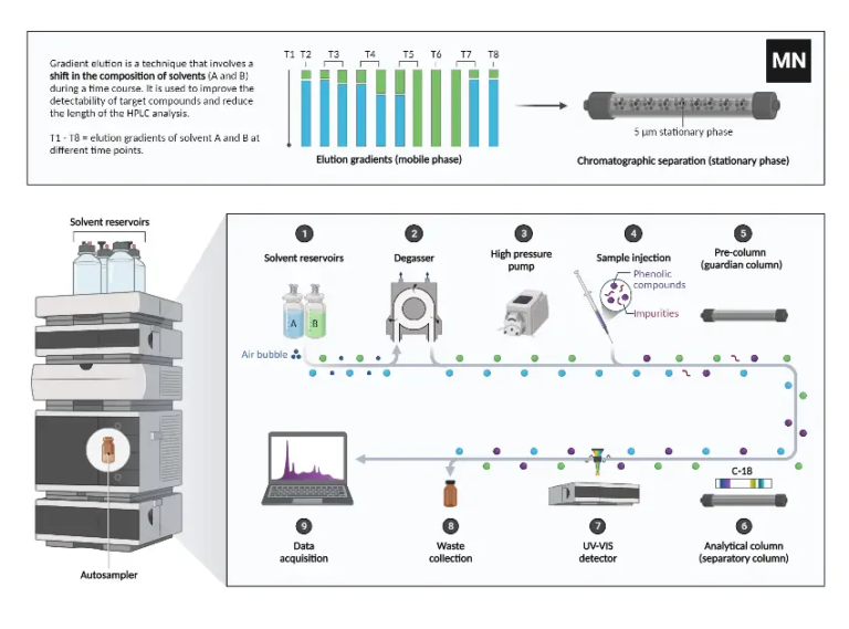 Types of Chromatography With their Definition, Principle, Steps, Uses ...
