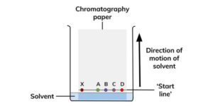 Paper Chromatography - Principle, Types, Instrumentation, Steps ...