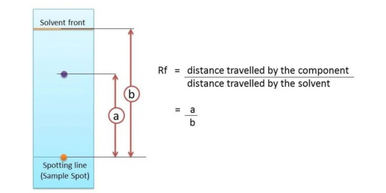 Paper Chromatography - Principle, Types, Instrumentation, Steps ...