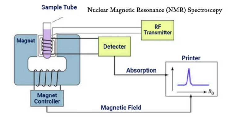 NMR Spectroscopy - Definition, Principle, Steps, Parts, Uses - Biology ...