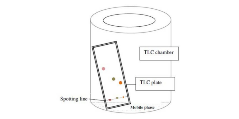Thin Layer Chromatography - Principle, Components, Procedure ...