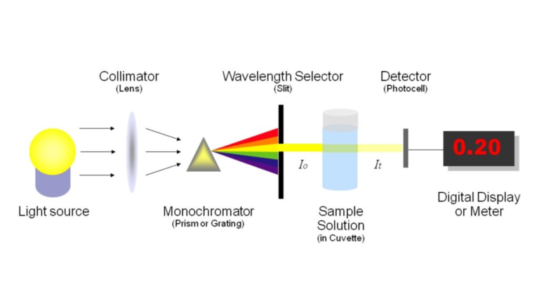 Spectrophotometer - Principle, Parts, Types, Mechanism, Uses - Biology ...