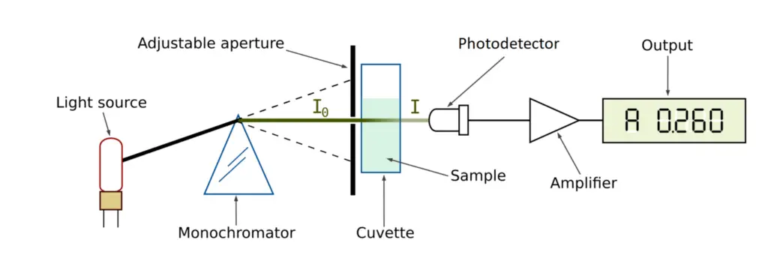 Spectrophotometer - Principle, Parts, Types, Mechanism, Uses - Biology ...