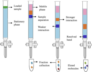 Column Chromatography - Principle, Steps, Parts, Uses, Advantages ...