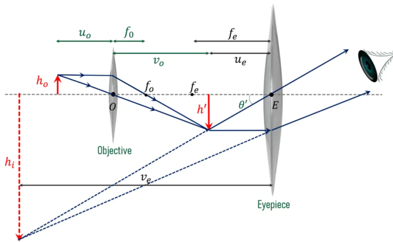 Compound Microscope - Principle, Parts, Diagram Definition, Application ...