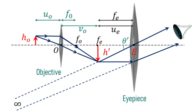 Compound Microscope - Principle, Parts, Diagram Definition, Application ...