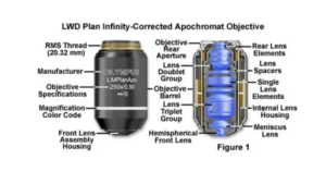 Compound Microscope - Principle, Parts, Diagram Definition, Application ...