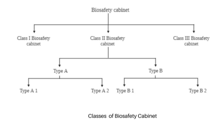 Biosafety Cabinet - Definition, Classification (Class I, II, III ...