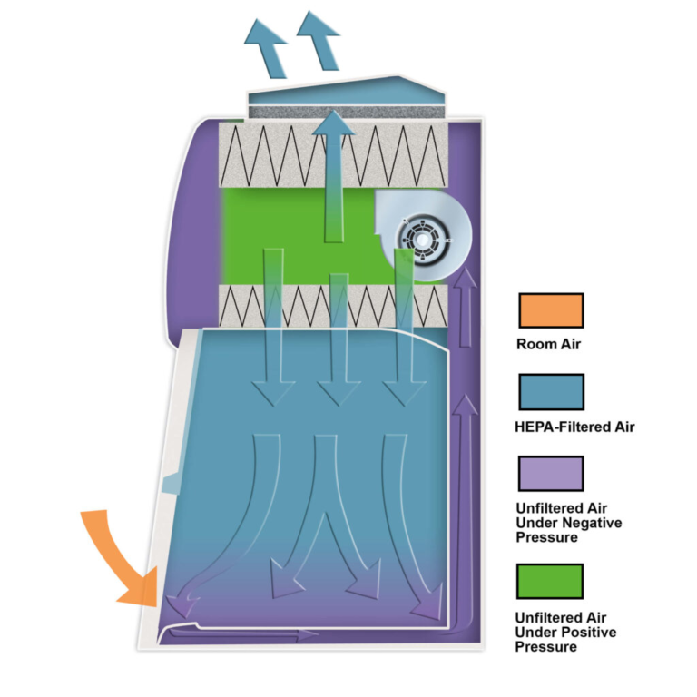Biosafety Cabinet - Definition, Classification (Class I, II, III ...