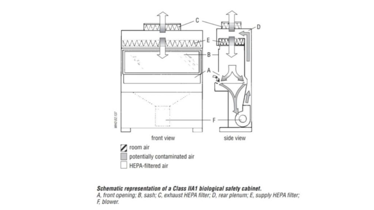 Biosafety Cabinet - Definition, Classification (Class I, II, III ...