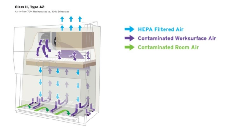 Biosafety Cabinet - Definition, Classification (Class I, II, III ...