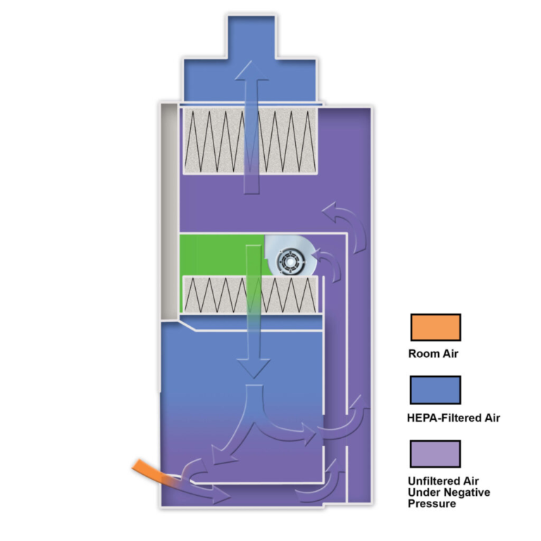 Biosafety Cabinet - Definition, Classification (Class I, II, III ...
