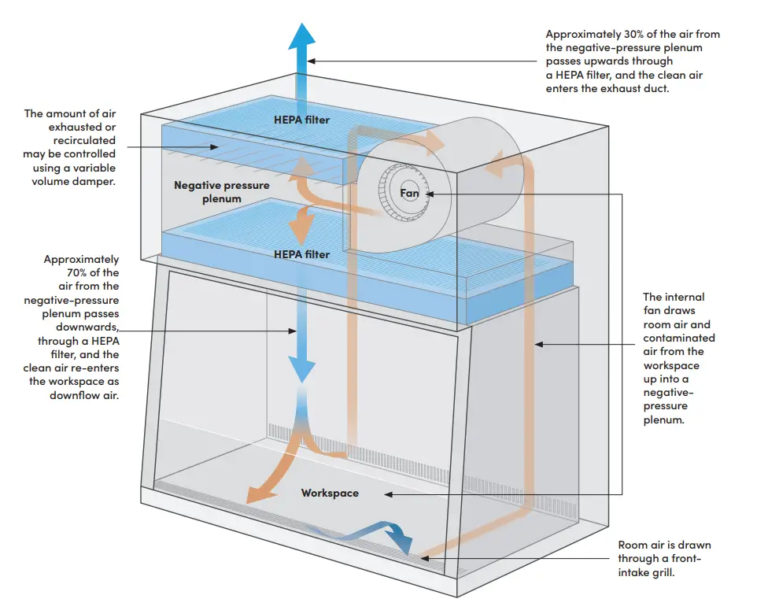 Biosafety Cabinet - Definition, Classification (Class I, II, III ...