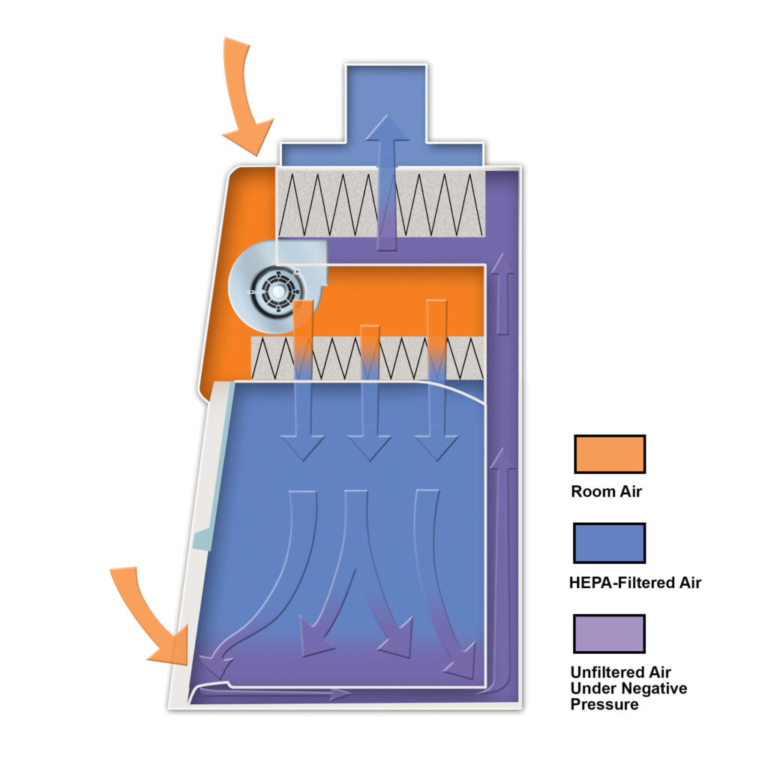 Biosafety Cabinet - Definition, Classification (Class I, II, III ...