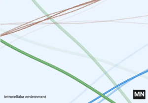 Cytoskeleton - Definition, Structure, Functions - Biology Notes Online
