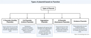 Plasmids - Definition, Structure, Functions, Examples - Biology Notes ...
