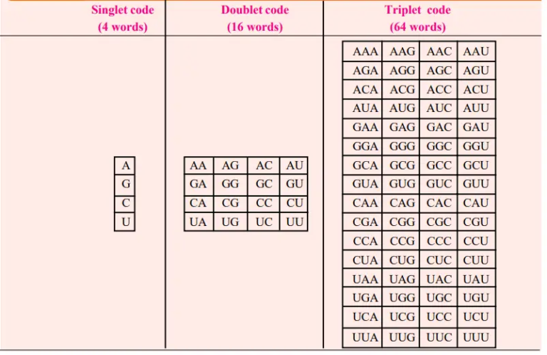 Genetic Code - Definition, Characteristics, Wobble Hypothesis - Biology ...