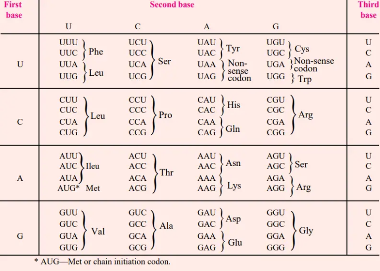 Genetic Code - Definition, Characteristics, Wobble Hypothesis - Biology ...
