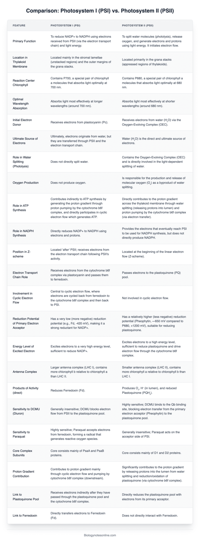 Difference between Photosystem 1 (PS1) and Photosystem 2 (PS2 ...