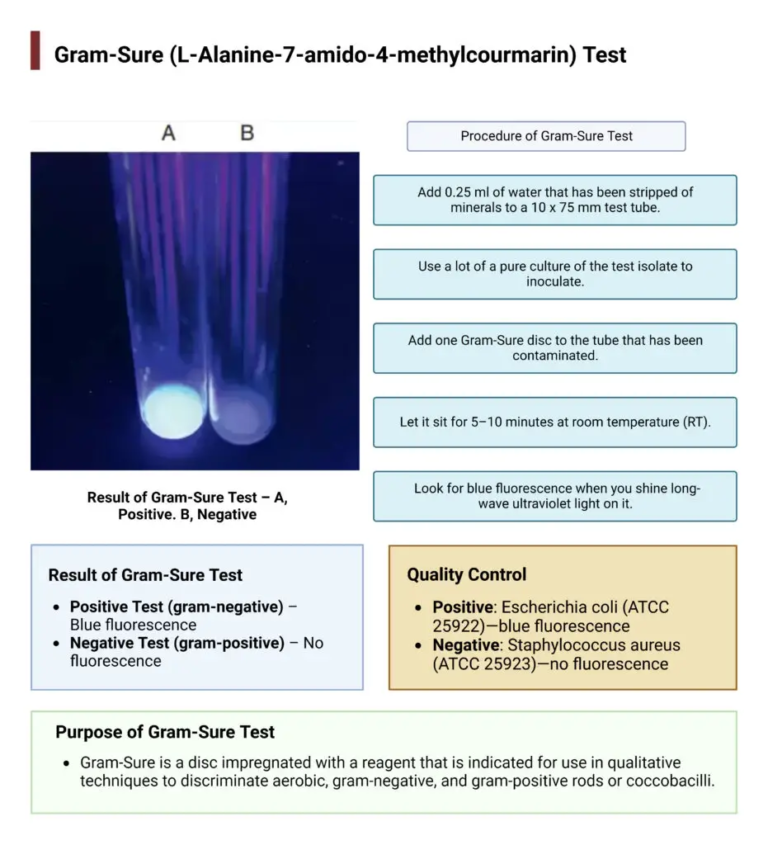 Gram-Sure Test -Principle, Procedure, Result, uses - Biology Notes Online