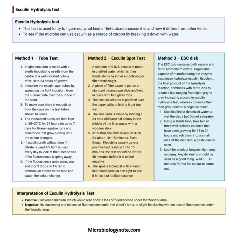 Esculin Hydrolysis test Principle, Procedure, Result - Biology Notes Online