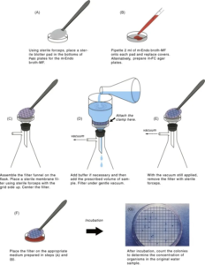Bacteriological Examination of Waters by Using Membrane Filtration ...