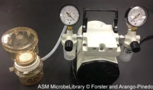 Bacteriological Examination of Waters by Using Membrane Filtration ...