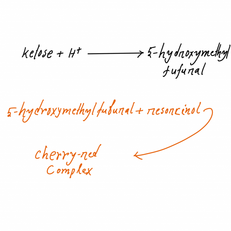 Seliwanoff's Test - Principle, Procedure, Result, Uses - Biology Notes ...
