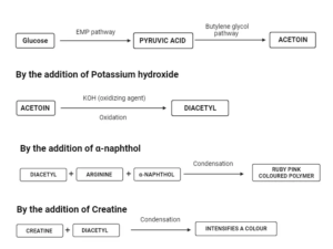Voges Proskauer (VP) Test - Principle, Procedure, Results - Biology ...