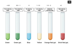 Benedict’s Test - Principle, Reagents, Procedure, Result, Limitation ...